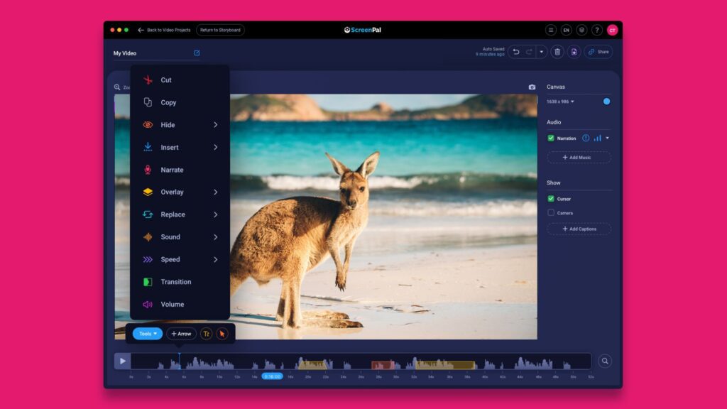 Take Advantage of Deluxe | Video Editor - ScreenPal