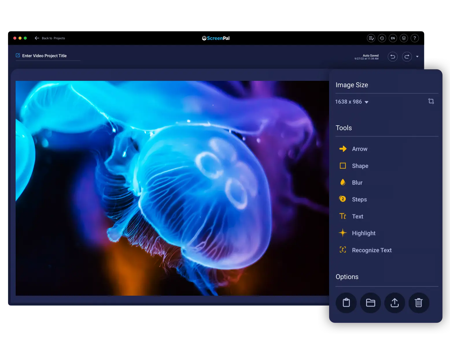 Free Image Editor - ScreenPal